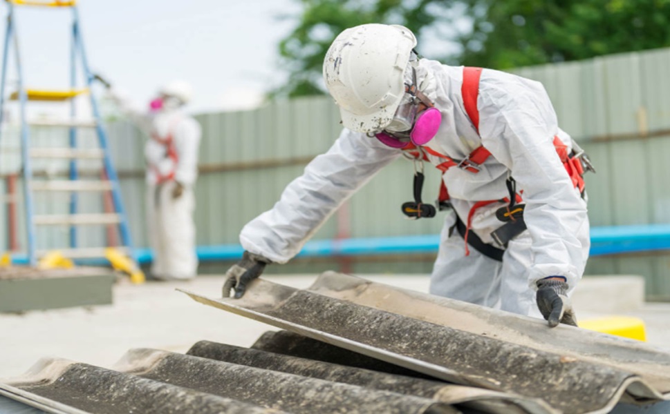 The Essential Role of Asbestos Contractors in Property Safety - Year Tearm